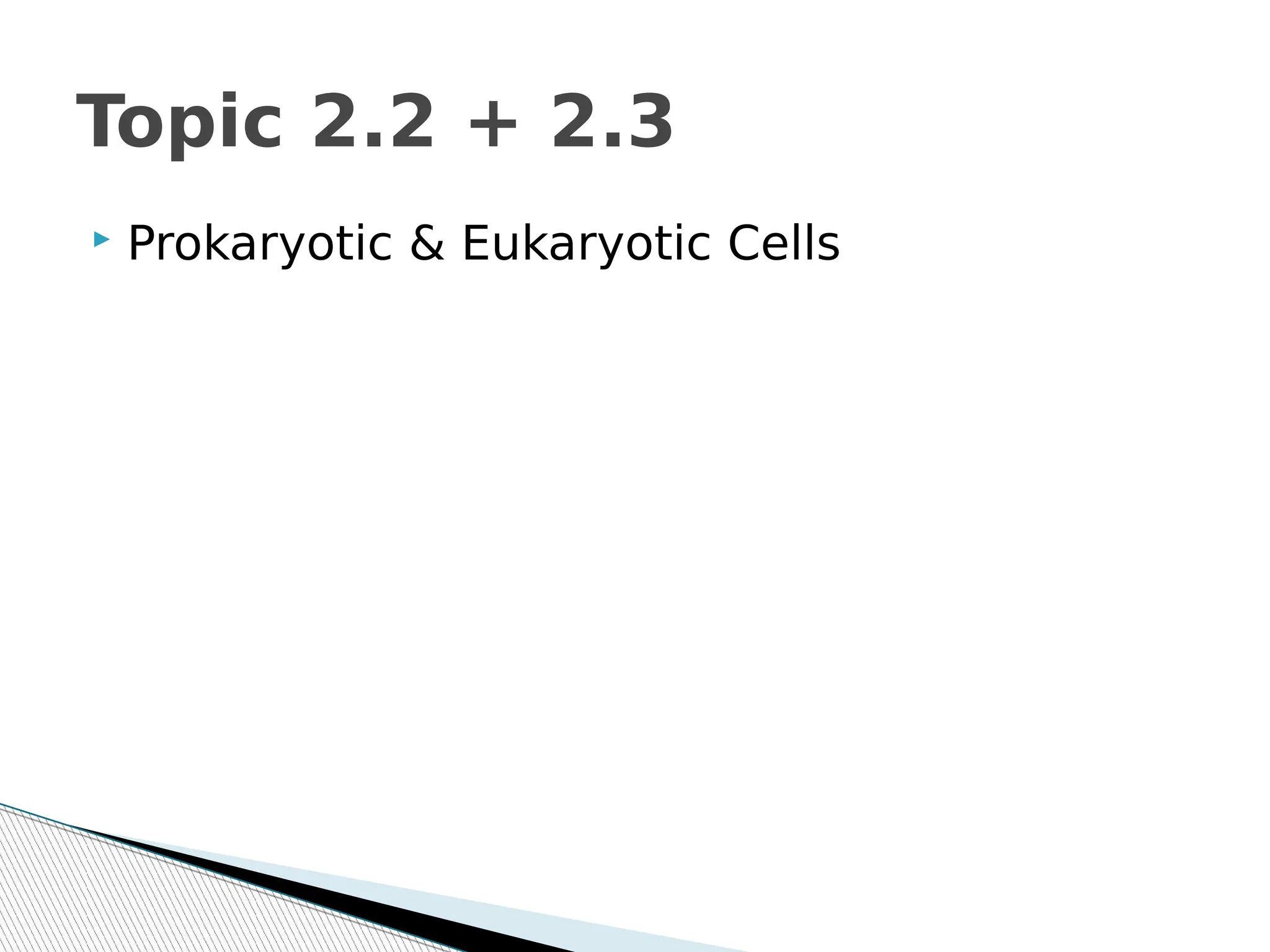 biology HL practice questions IB BIOLOGY | PDF | Biological Sciences ...