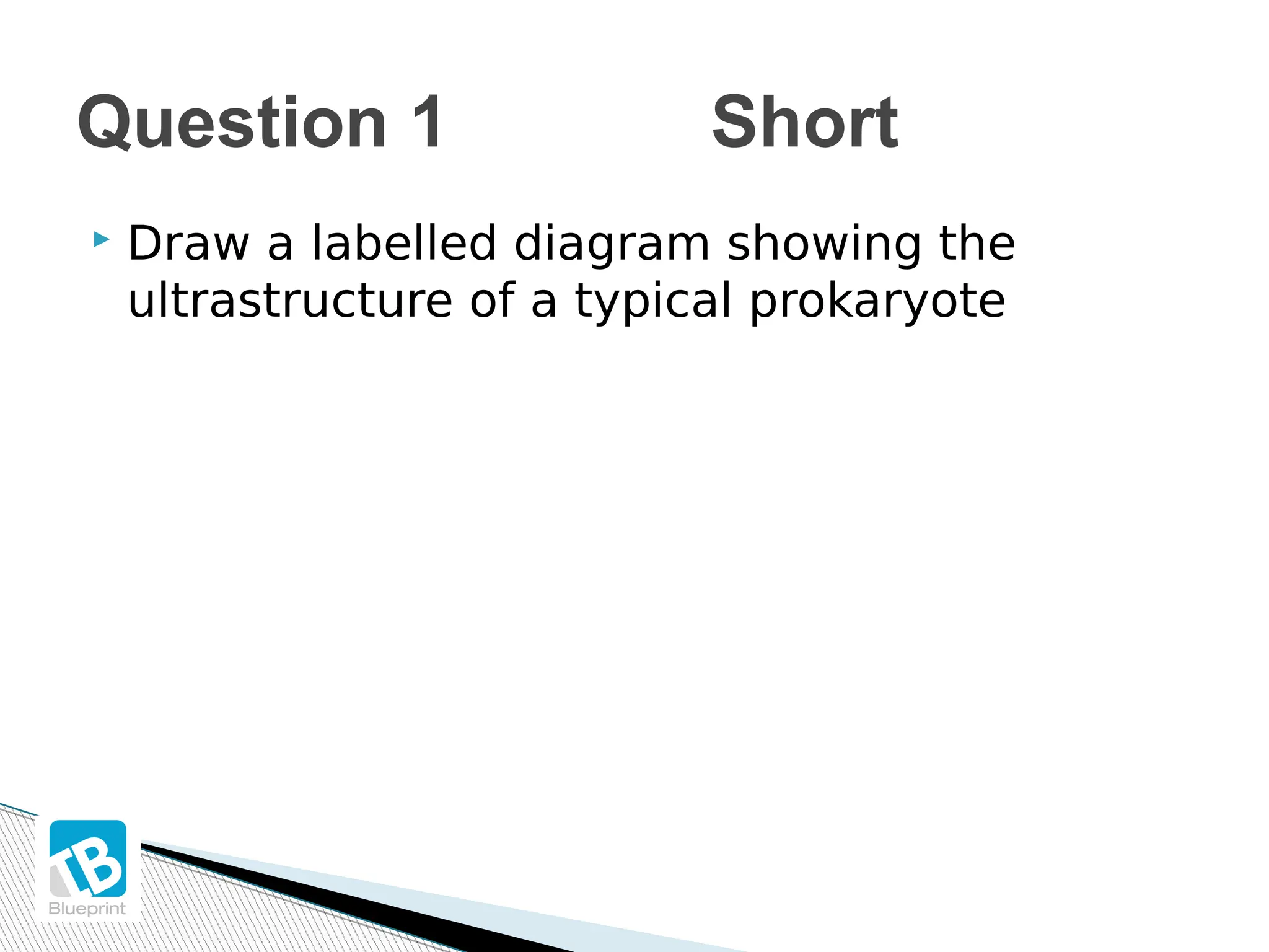 biology HL practice questions IB BIOLOGY | PDF | Biological Sciences ...