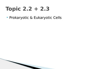 biology HL practice questions IB BIOLOGY | PDF