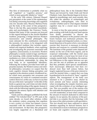 Cognitive Archaeology Body Cognition And The Evolution Of Visuospatial ...