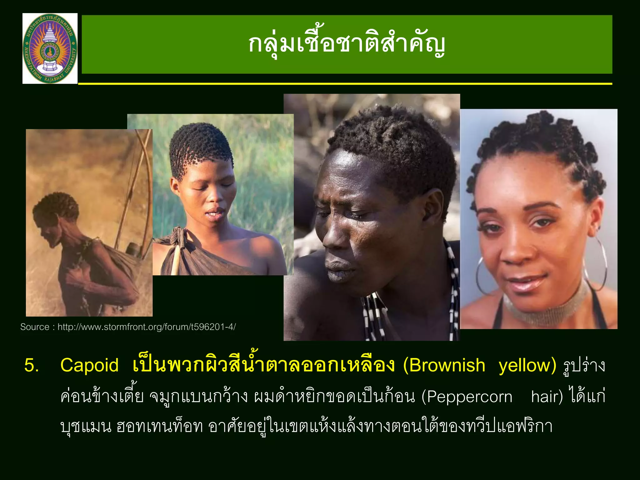 เชื้อชาติ ภาษา และศาสนา (1) | PPTX