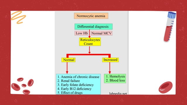 Approach to anemia , classification, investigations cases | PDF