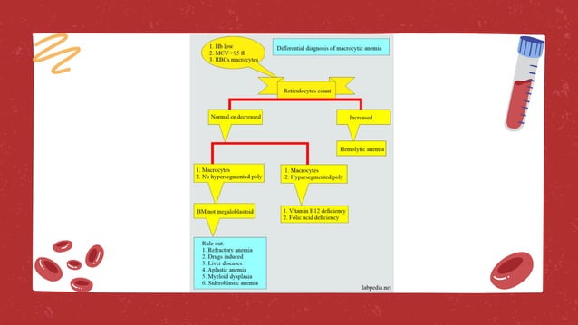 Approach to anemia , classification, investigations cases | PPT
