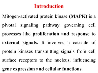 2_5433715090702484102.pptx.................... | PPT