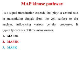 2_5433715090702484102.pptx.................... | PPT