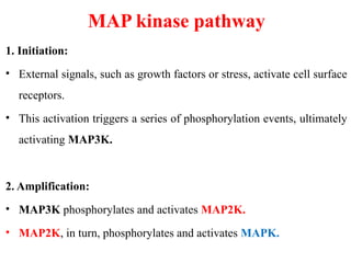 2_5433715090702484102.pptx.................... | PPT