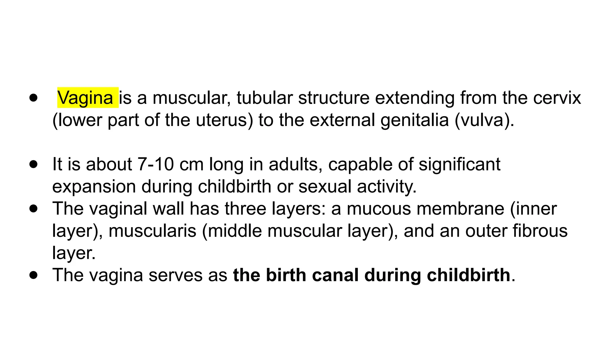 Anatomy and physiology of female internal reproductive system (uterus ...