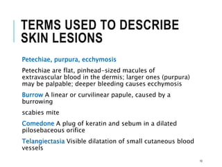 2_544969983369gasfoligggdc6763233(١).pptx