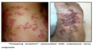 2_5465670154190857740-Copy.pdf