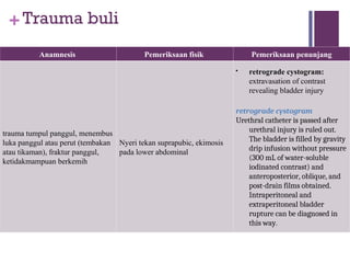 Ppt hematuria dan gejala dan diffrent diagnosis | PPT