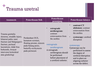 Ppt hematuria dan gejala dan diffrent diagnosis | PPT