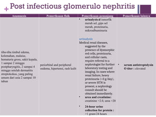 Ppt hematuria dan gejala dan diffrent diagnosis | PPT