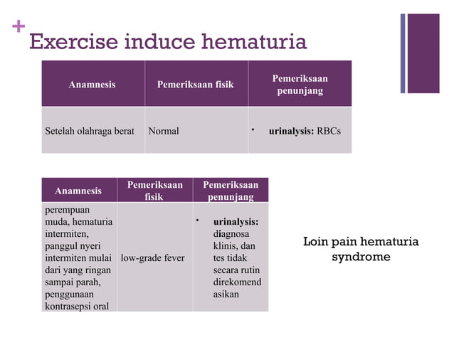 Ppt hematuria dan gejala dan diffrent diagnosis | PPT