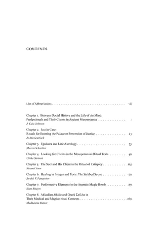 Patients And Performative Identities J Cale Johnson | PDF