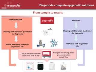Diagenode Epigentic Solutions | PPT