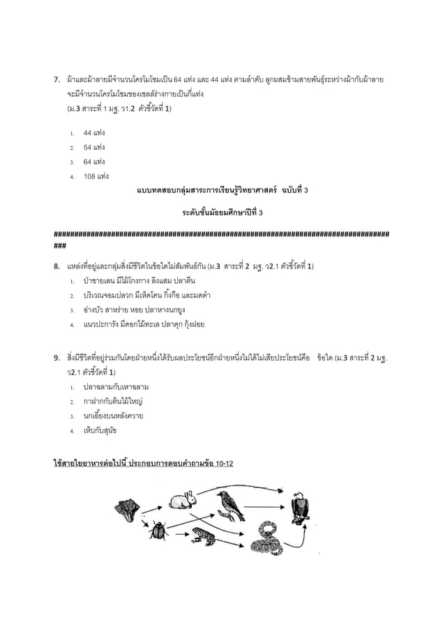 ชุดข้อสอบแยกตามตัวชี้วัด หลักสูตรแกนกลาง 2551 | PDF