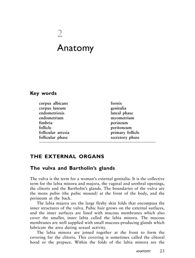 Women Hormones And The Menstrual Cycle 1st Ruth Trickey | PDF