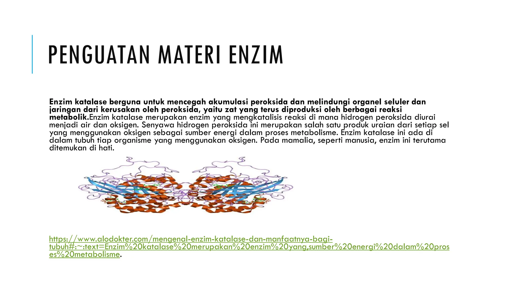 2555__PENGUATAN-MATERI-PERTUMBUHAN-PADA-TUMBUHAN,-ENZIM,PEMBELAHAN-SEL ...