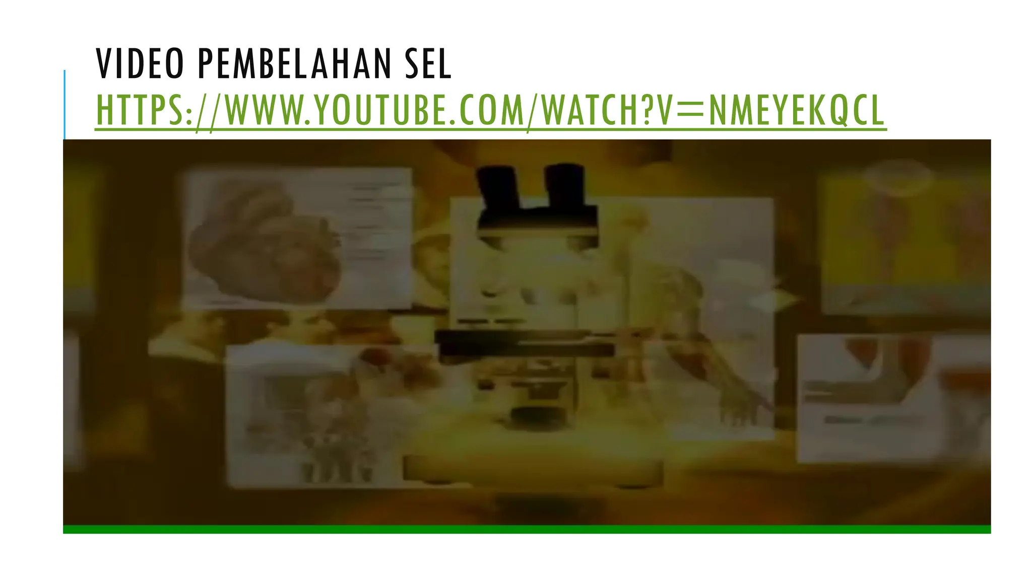 2555__PENGUATAN-MATERI-PERTUMBUHAN-PADA-TUMBUHAN,-ENZIM,PEMBELAHAN-SEL,-PEWARISAN-SIFAT-PADA-MH.pdf