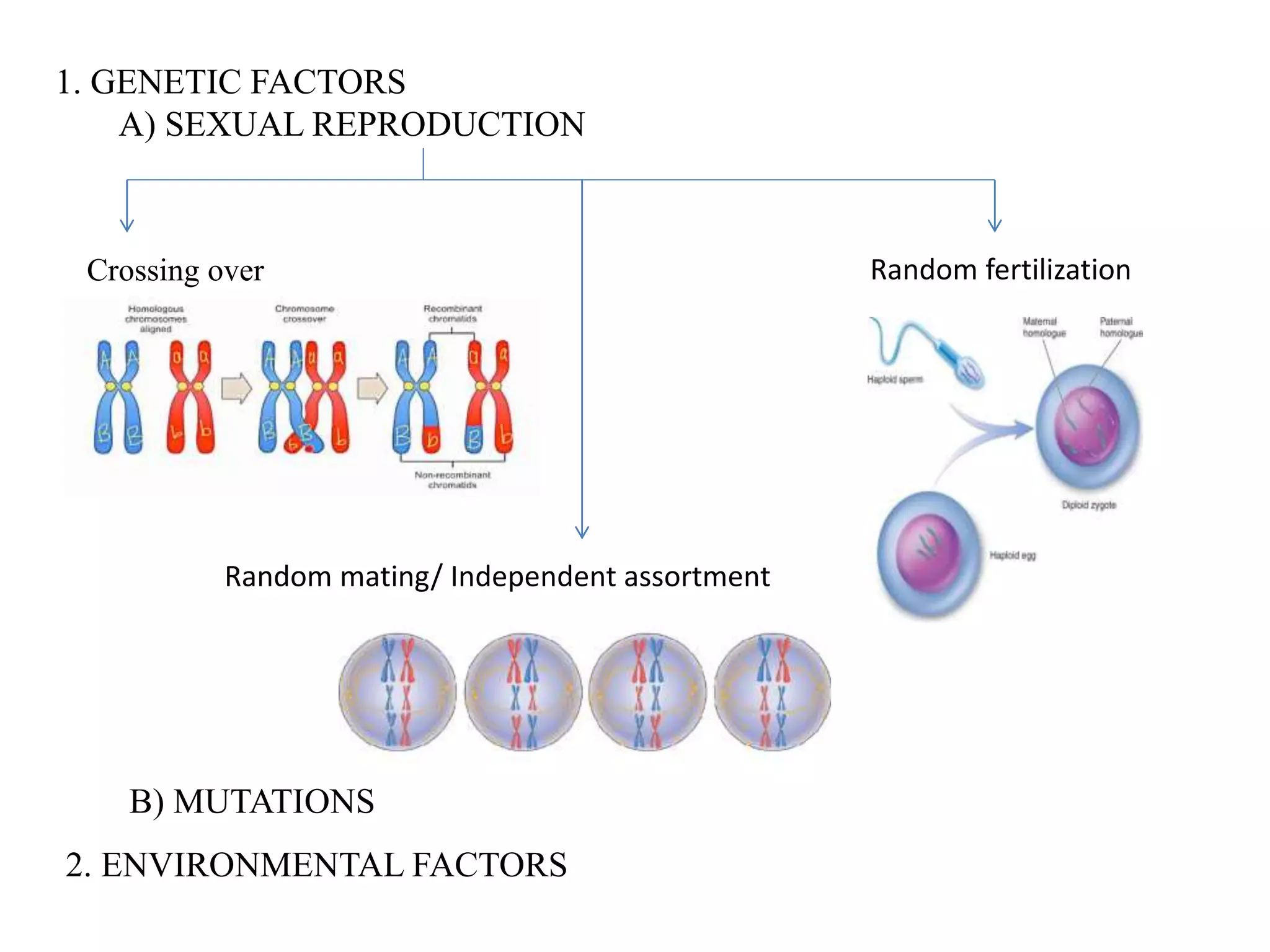 genetic variations and its role in health/ pharmacology | PPTX