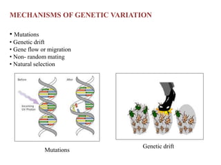 genetic variations and its role in health/ pharmacology | PPTX