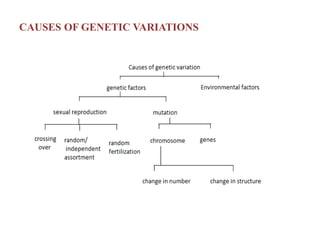 genetic variations and its role in health/ pharmacology | PPTX
