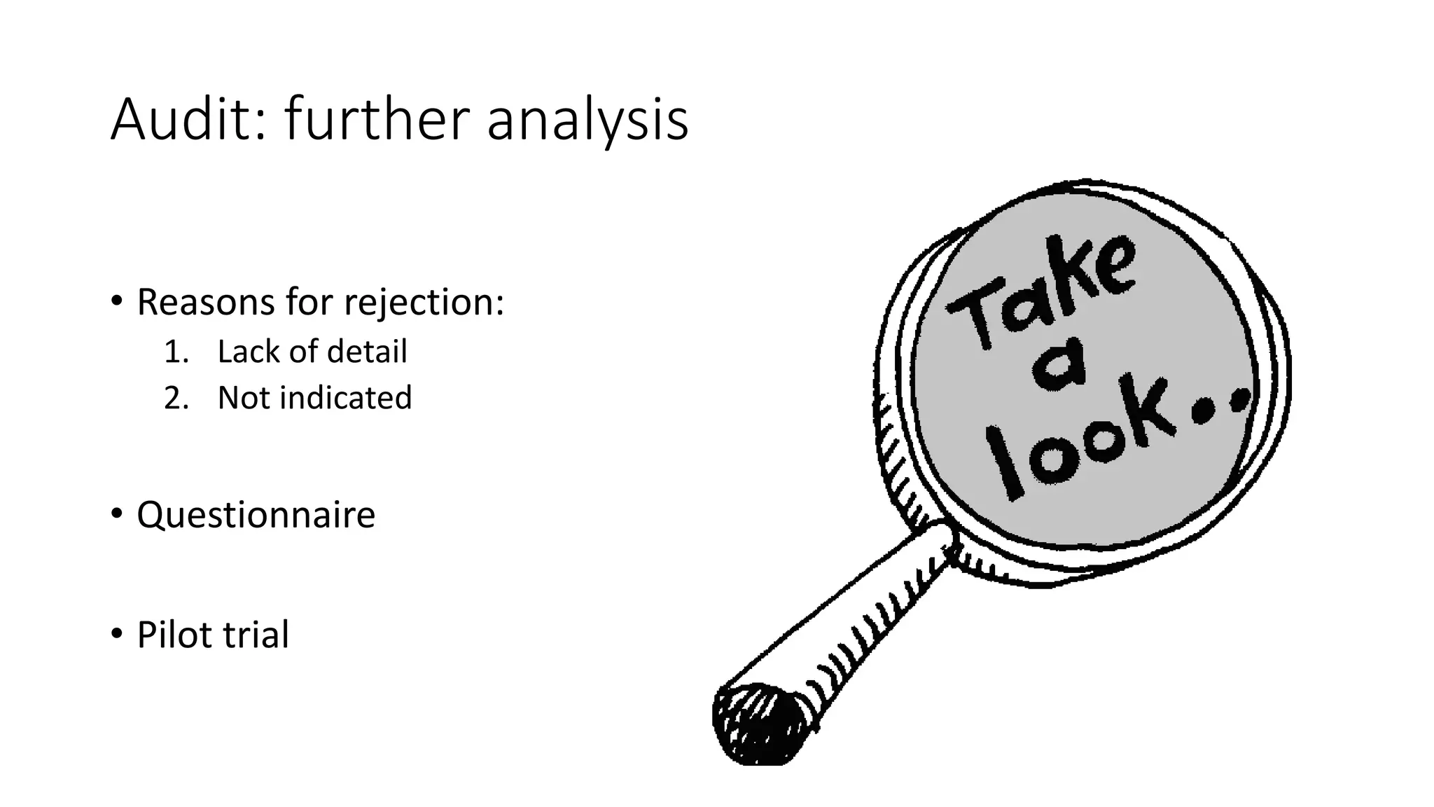 RAMI AUDIT CYCLE PRESENTATION | PPTX