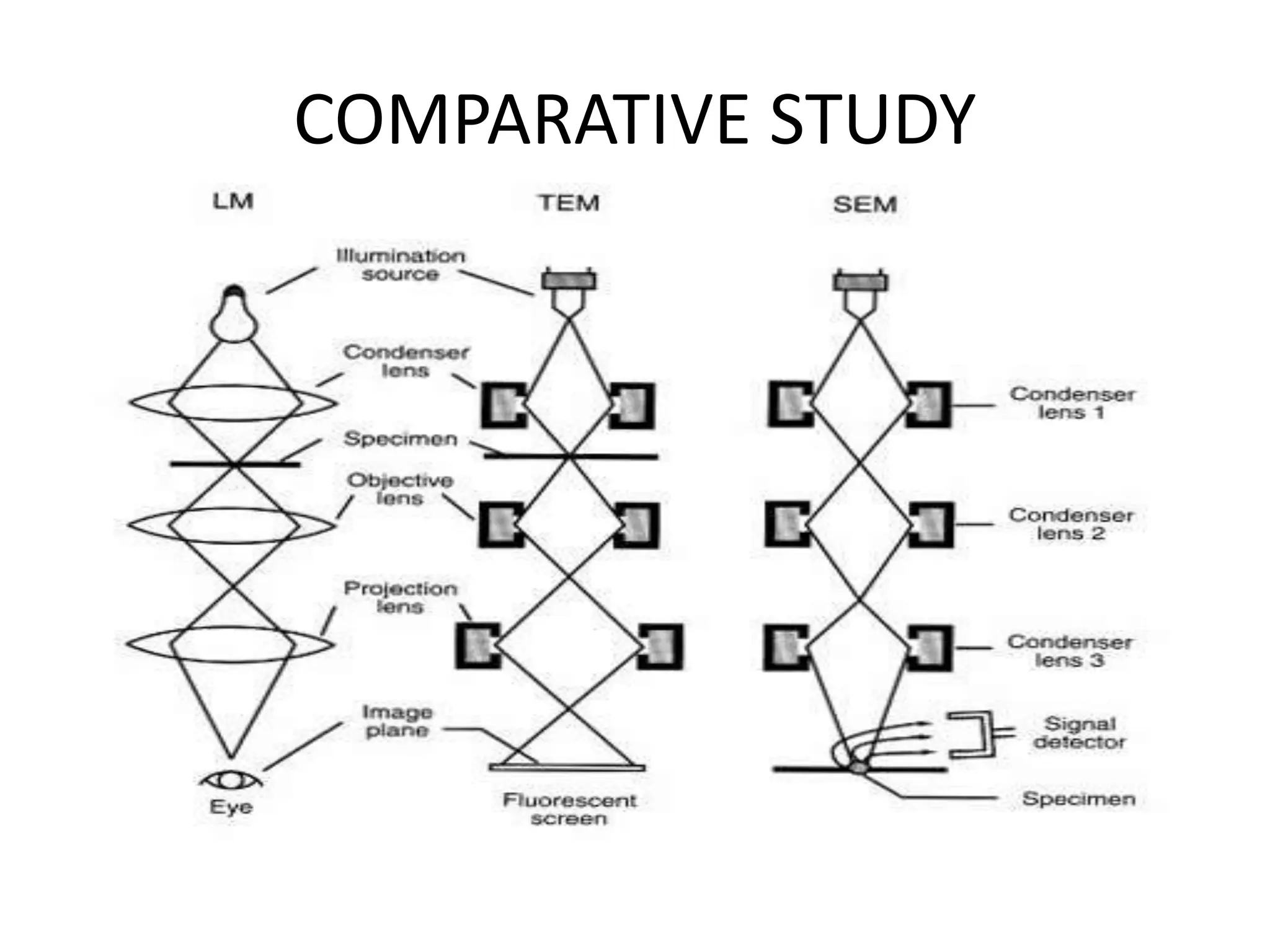 INTRODUCTION TO TEM (TEM-James Hillier and Albert prebus(1938)at ...
