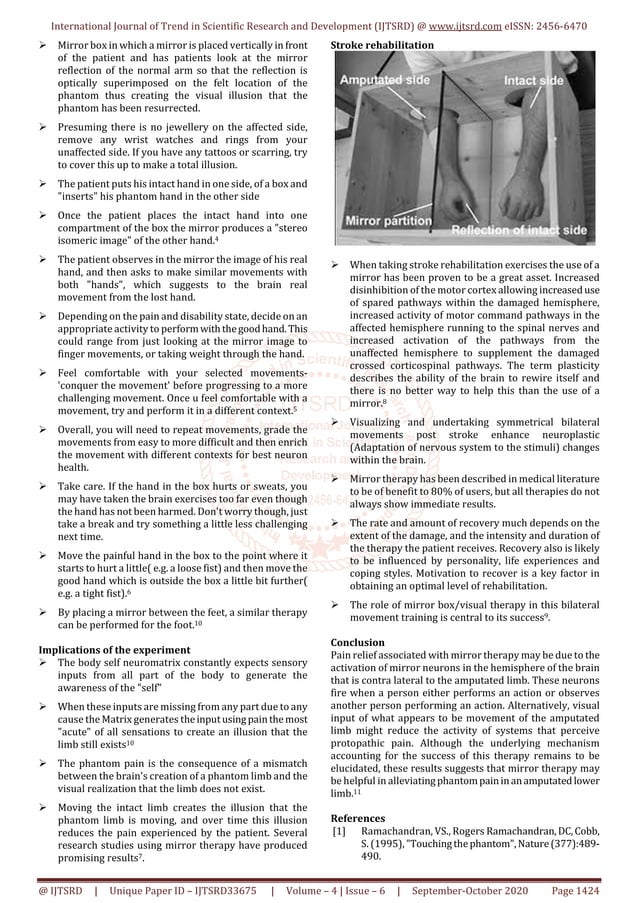 Significances of Mirror Box Therapy in Phantom Limb Pain and Stroke Rehabilitation A Perspective ...