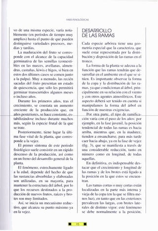 guia-fotografica-de-la-poda | PDF