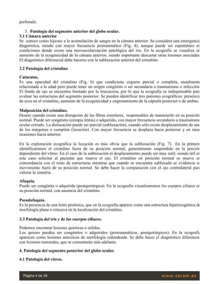 ECOGRAFIA Y PATOLOGIA OCULAR SERAM ARTICULO | PDF