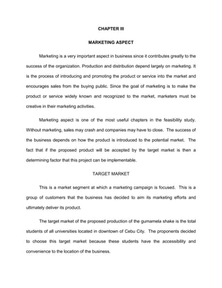 257733517-Final-Marketing-Aspect-EXAMPLE.doc