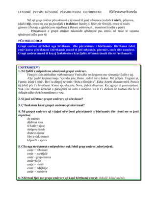 Gramatike-Lexojme-Pyesim-mesojme-Permbledhim-Ushtrohemi | PDF
