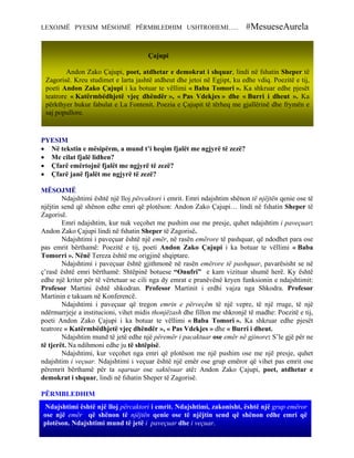 Gramatike-Lexojme-Pyesim-mesojme-Permbledhim-Ushtrohemi | PDF