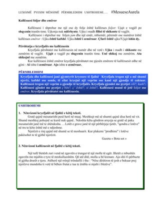 Gramatike-Lexojme-Pyesim-mesojme-Permbledhim-Ushtrohemi | PDF
