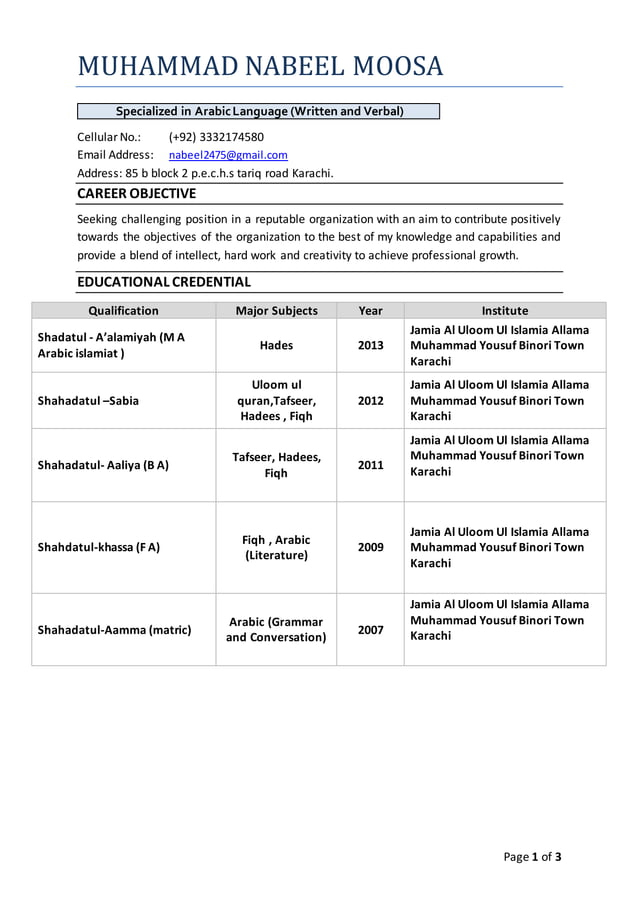 NABEEL CV 3 | PDF