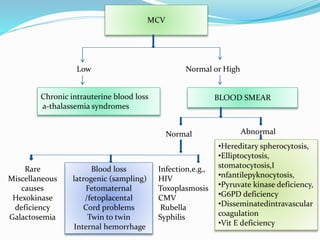 258366488-Neonatal-Anemia.pptx