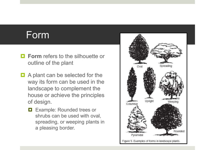 Principles-of-Landscape-Design-PPT-1.ppt