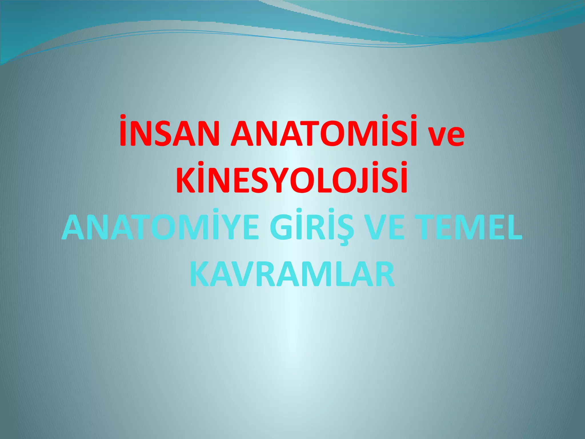insan anatomisi ve kinesiyoloji | PPT
