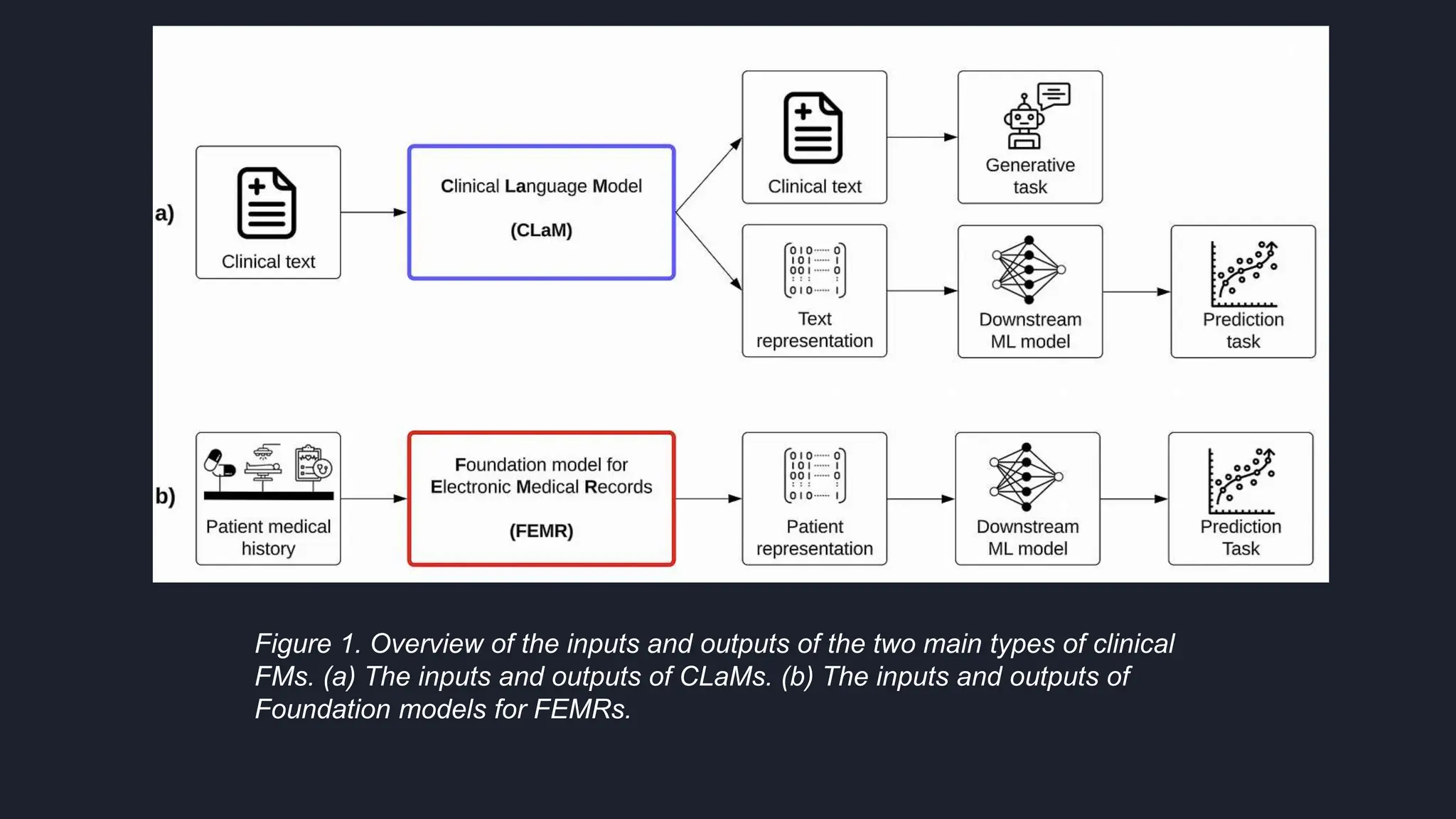 Reassessing the Bedrock of Clinical Function Models: An Examination of ...