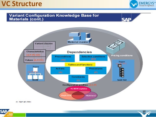 sap-variant-configurationpdf