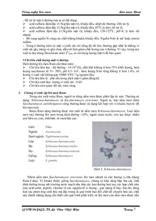 259536360 len-men-rum | PDF