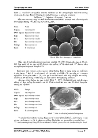 259536360 len-men-rum | PDF