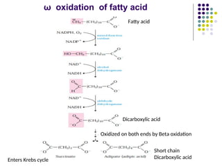 Alpha and Omega Fatty acid oxidation.ppt