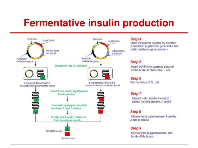 Biochemical processes