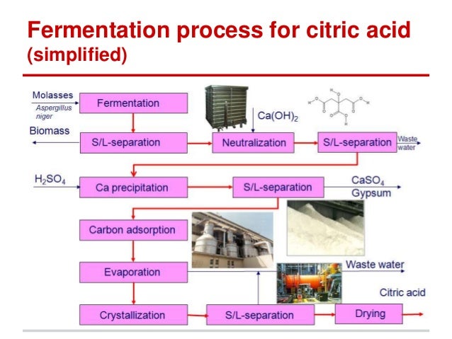 Biochemical processes