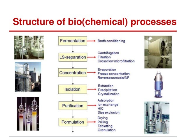 Biochemical processes