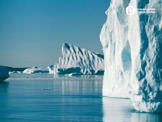 25 (ant)arctic iceberg photos - Oceanwide Expeditions | PPT
