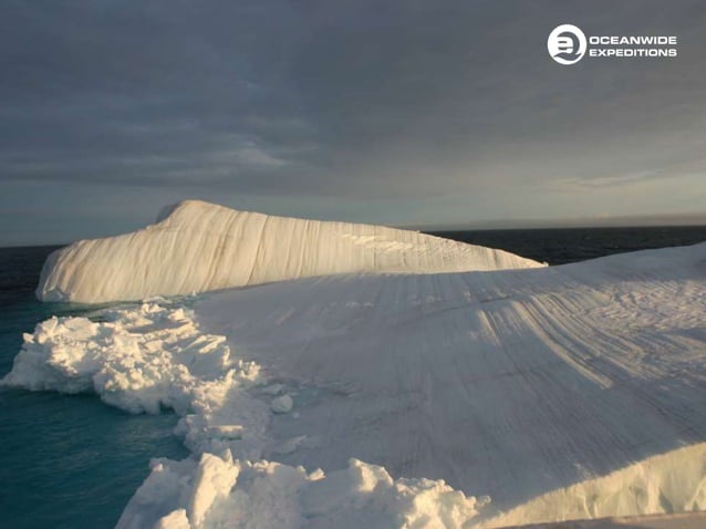 25 (ant)arctic iceberg photos - Oceanwide Expeditions | PPT