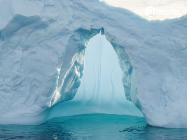 25 (ant)arctic iceberg photos - Oceanwide Expeditions | PPSX